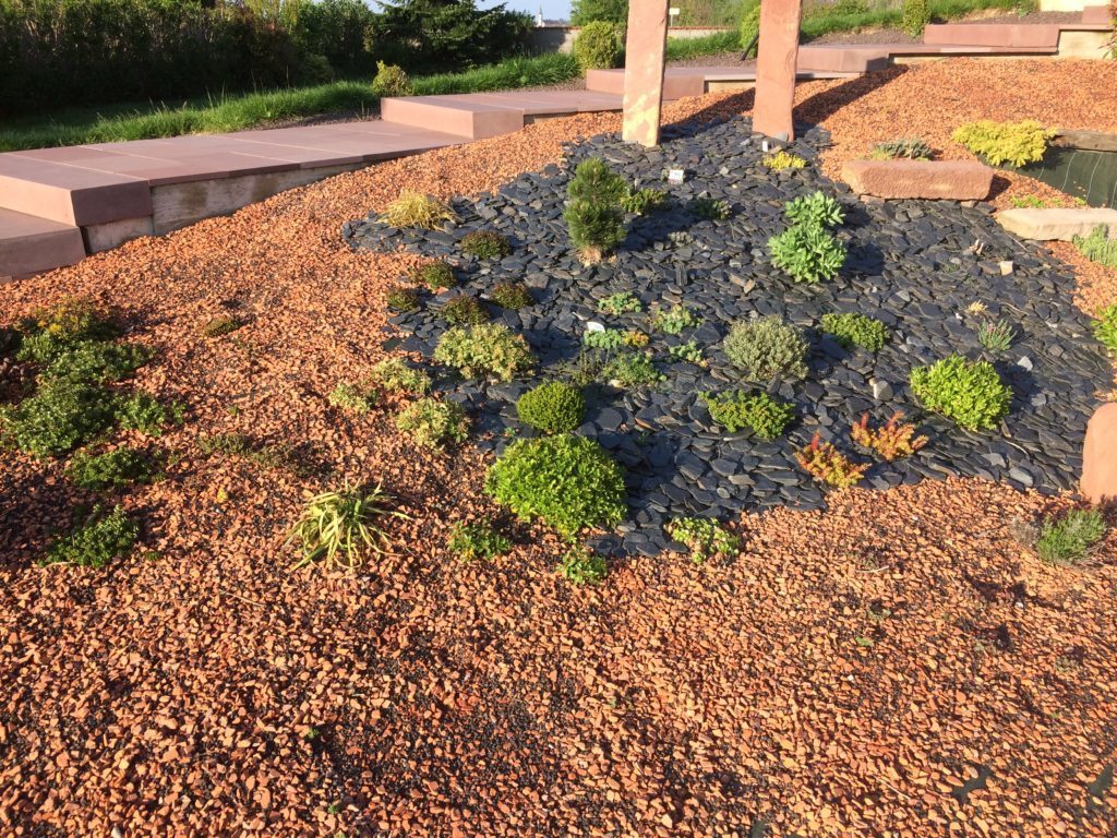 Végétaliser un talus avec du sedum pour moins désherber! - Toit végétalisé