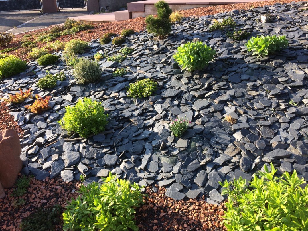 Végétaliser un talus avec du sedum pour moins désherber! - Toit végétalisé