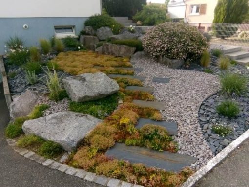 Végétaliser un talus avec du sedum pour moins désherber! - Toit végétalisé
